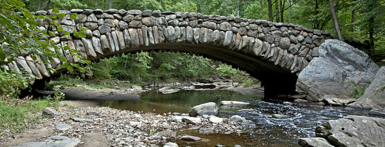 "The Arch" - Clear Arch Health